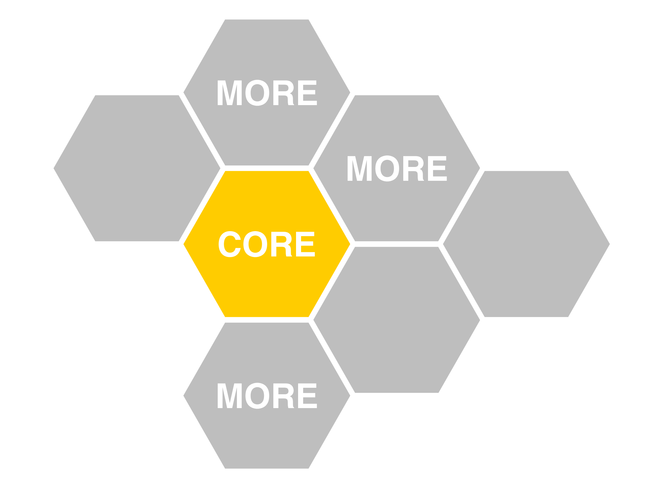 Core & More in practice - Accountancy Europe
