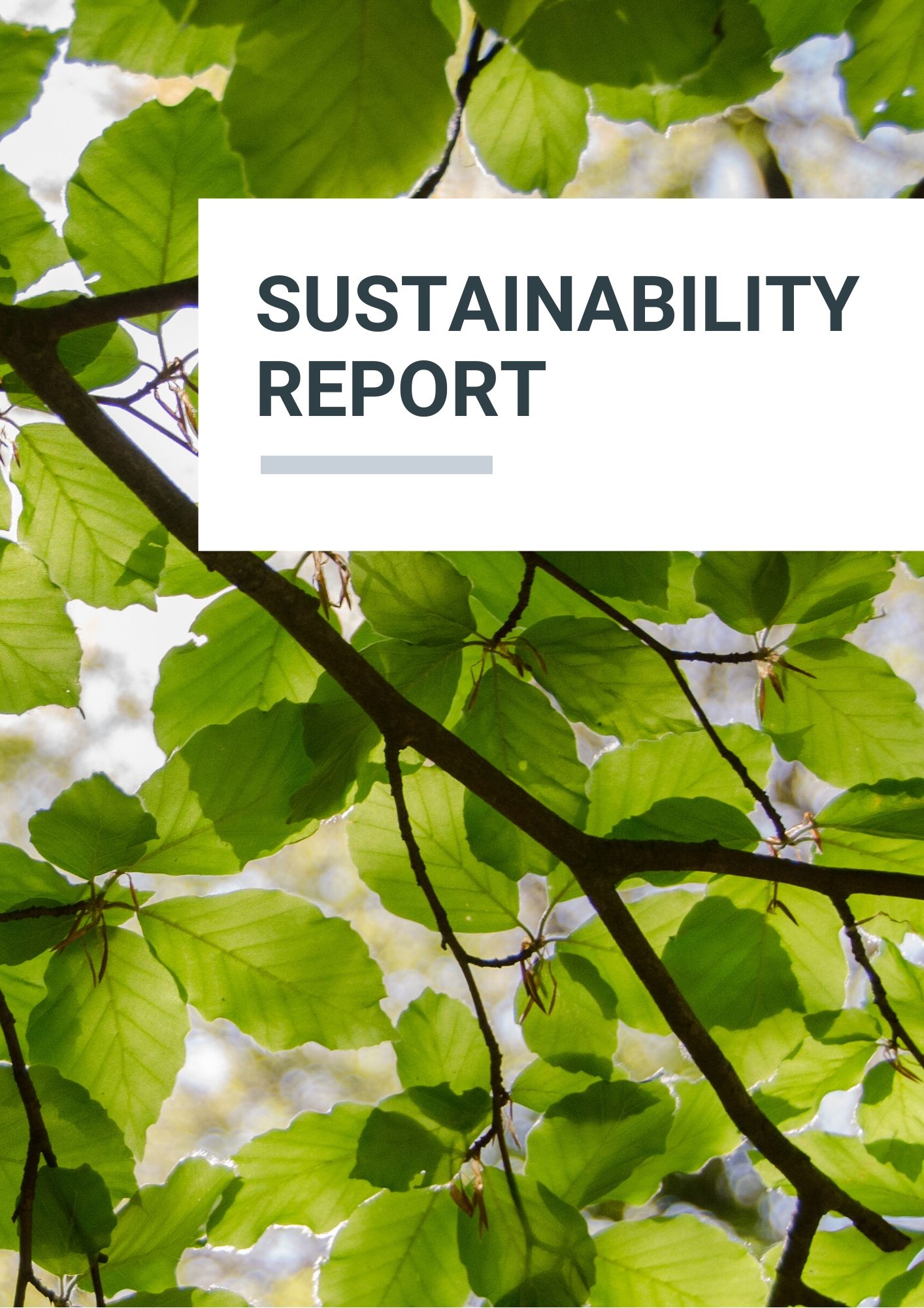 What do high-quality non-financial reports look like? - Accountancy Europe